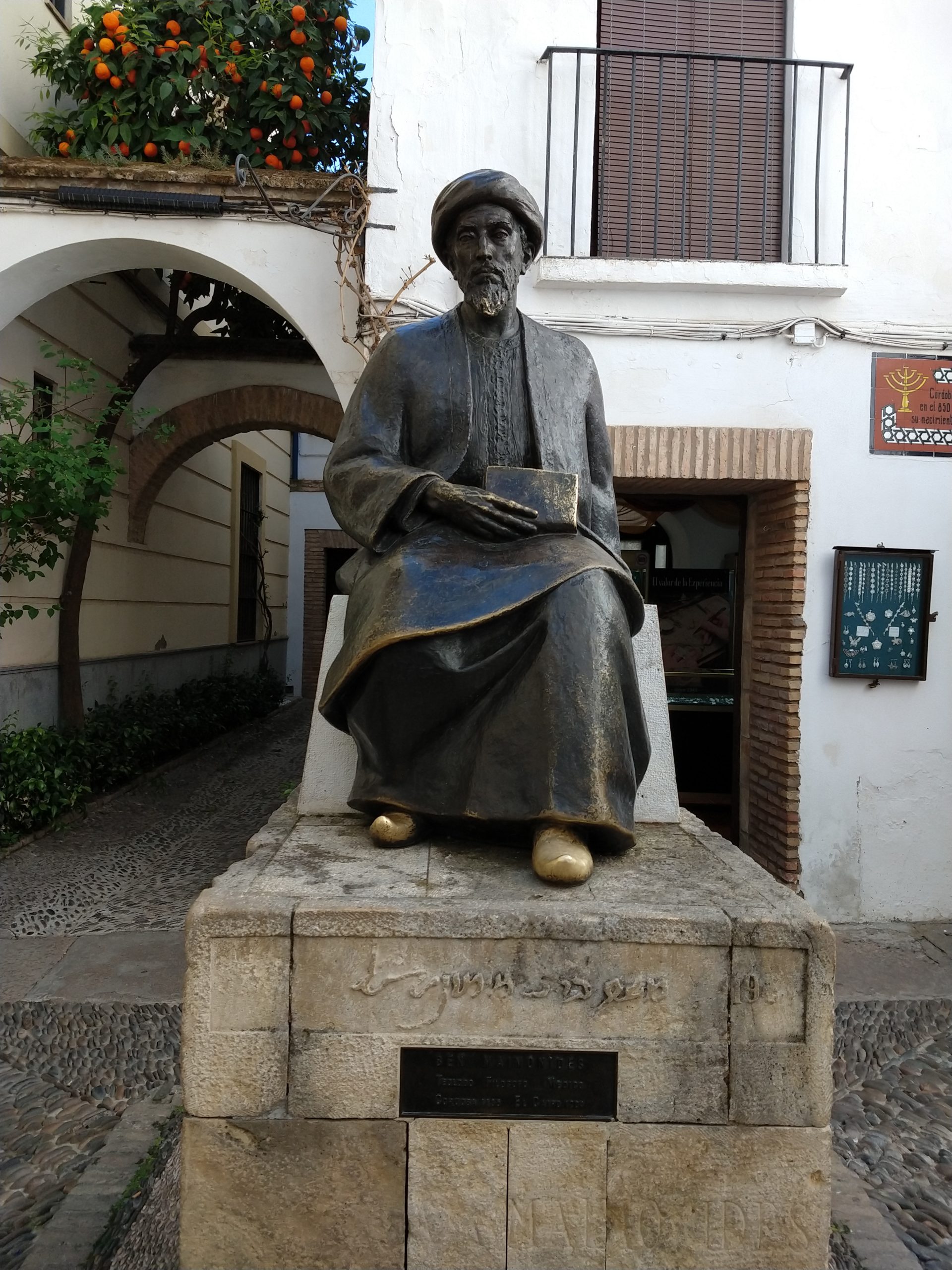 Over Maimonides – Brouwer Blogt